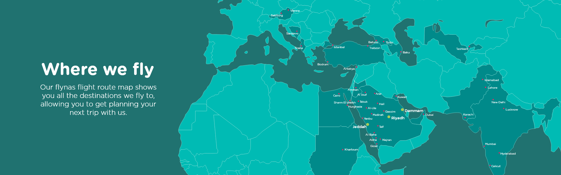 flynas | United Arab Emirates