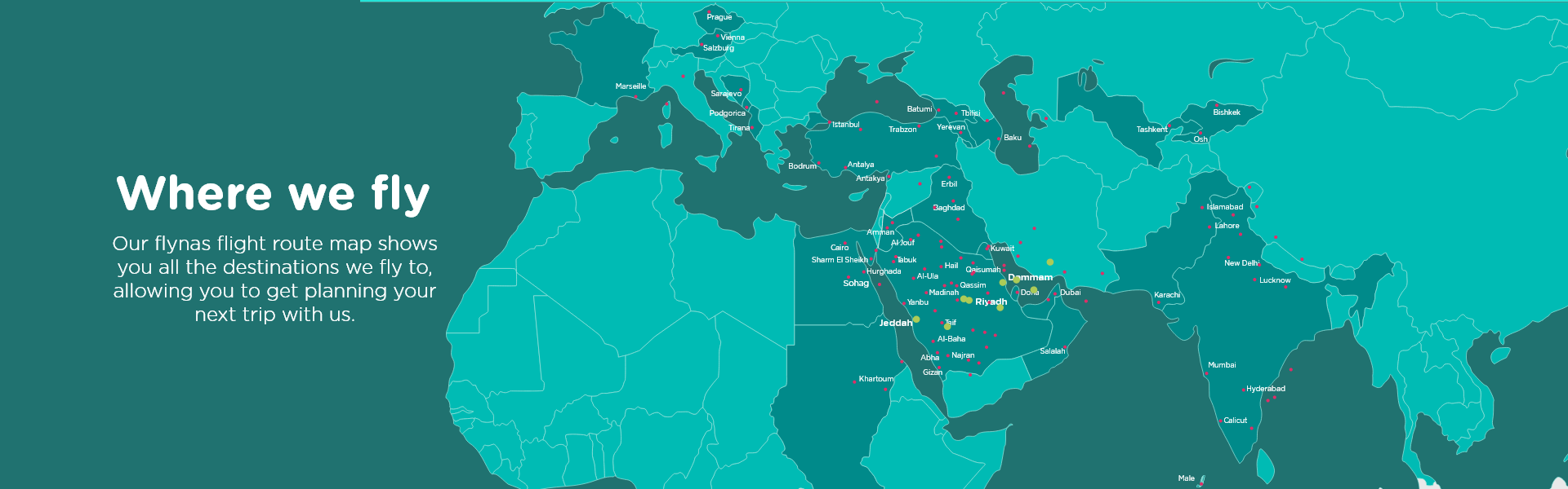 Low fare flights across the MENA, Europe and Asia | flynas